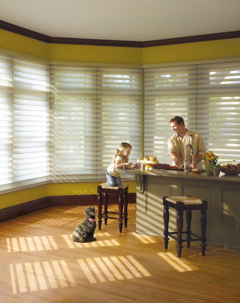 Window Shades & Shadings Gallery | Lancaster, PA | Phillips Paint